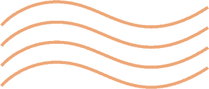 Vocational Training Programs | Avi Career Training